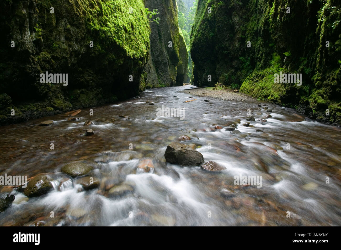 Historic oneonta gorge hi-res stock photography and images - Alamy