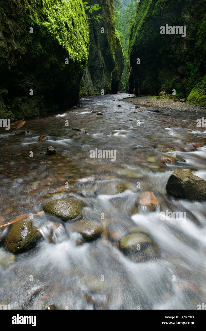 Oneonta falls in Columbia River Gorge Stock Photo - Alamy