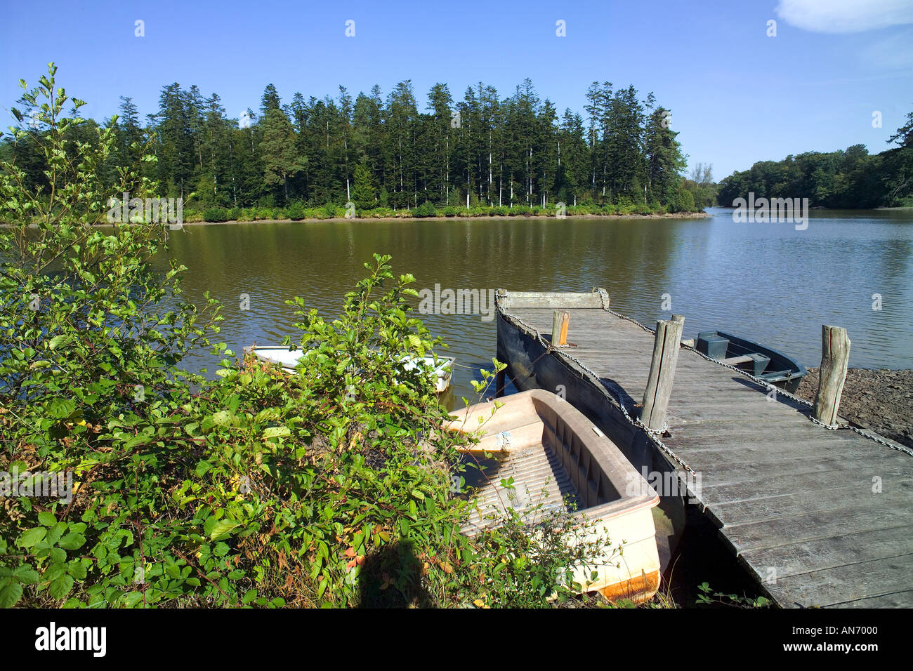 Paimpont lake hi-res stock photography and images - Alamy