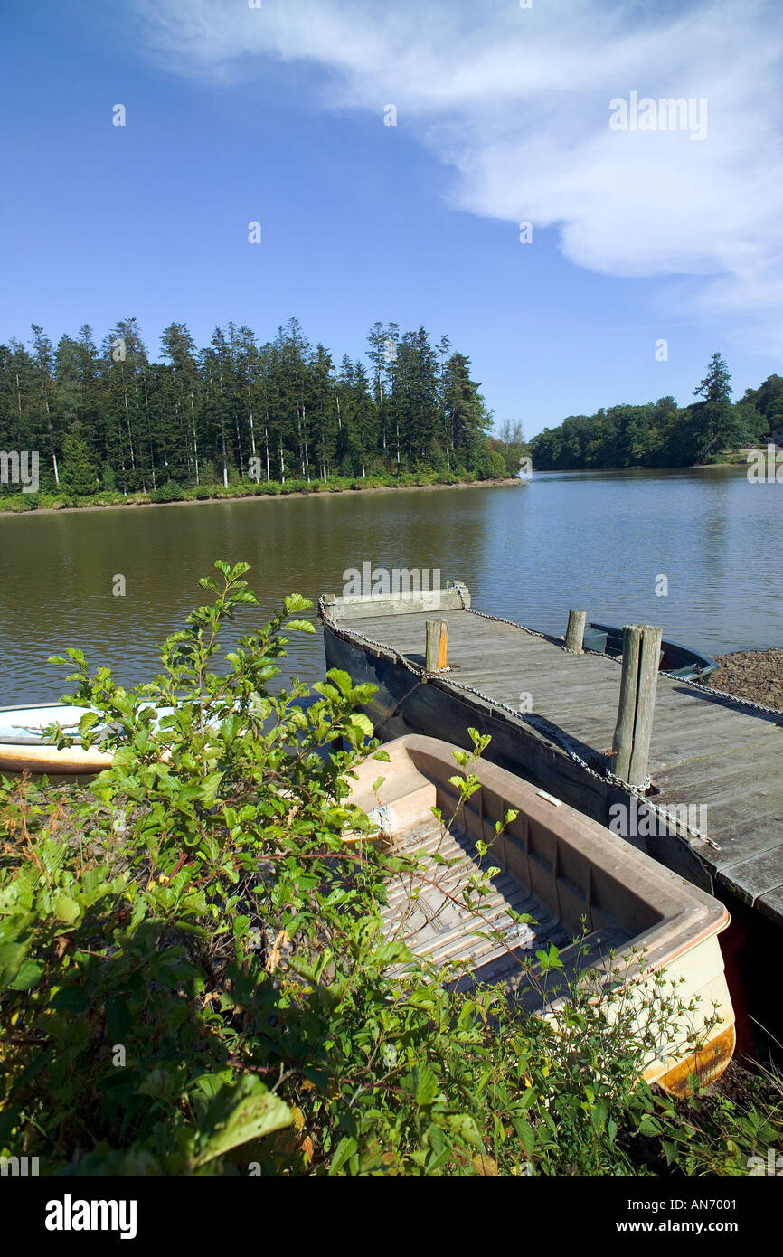 Paimpont lake hi-res stock photography and images - Alamy