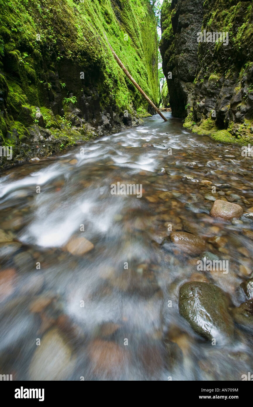 Oneonta falls in Columbia River Gorge Stock Photo - Alamy
