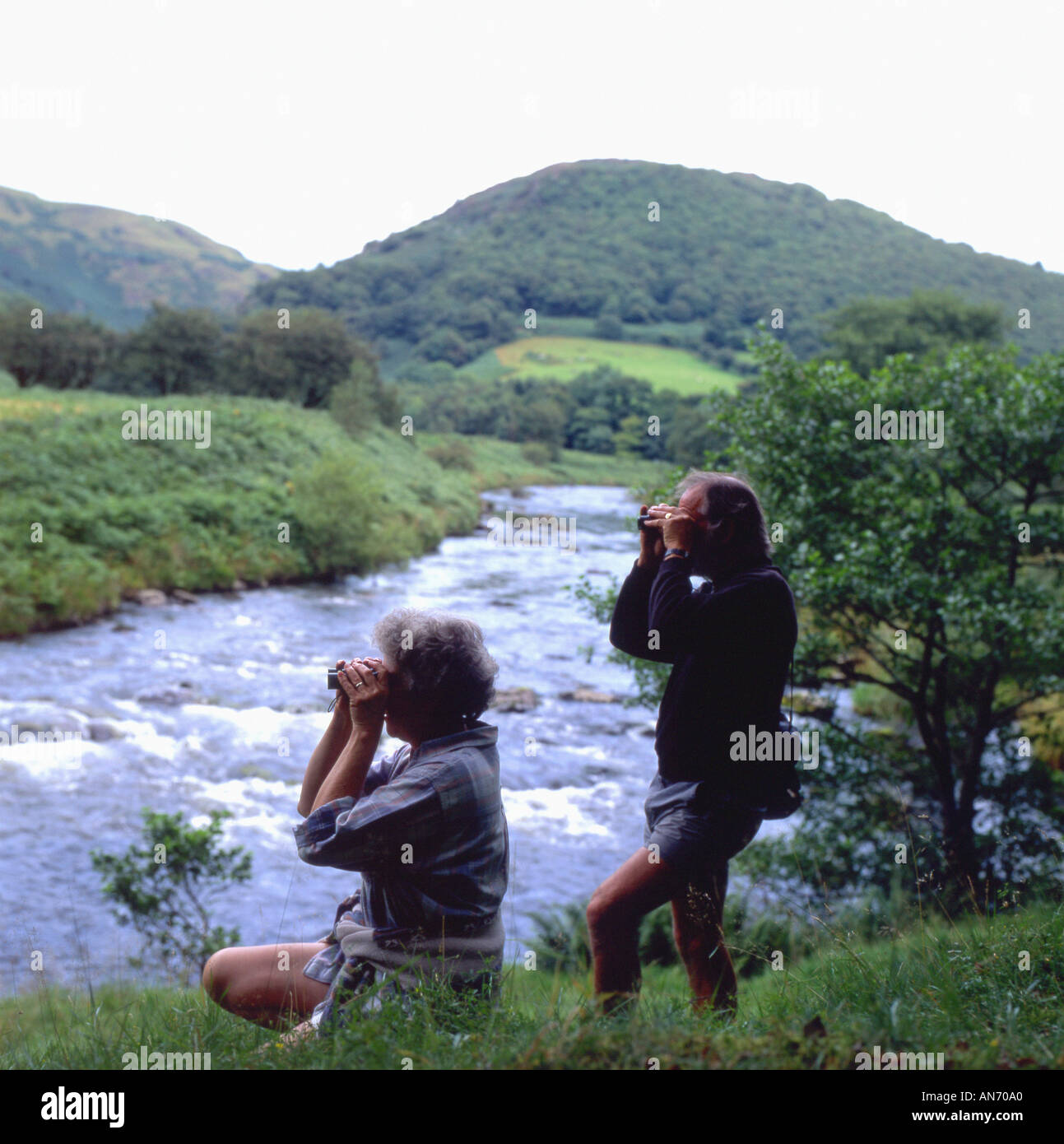 People birdwatching at the Dinas Reserve Rhandirmwyn Carmarthenshire ...