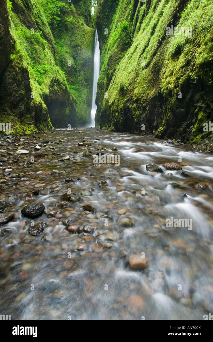 Oneonta falls in Columbia River Gorge Stock Photo - Alamy