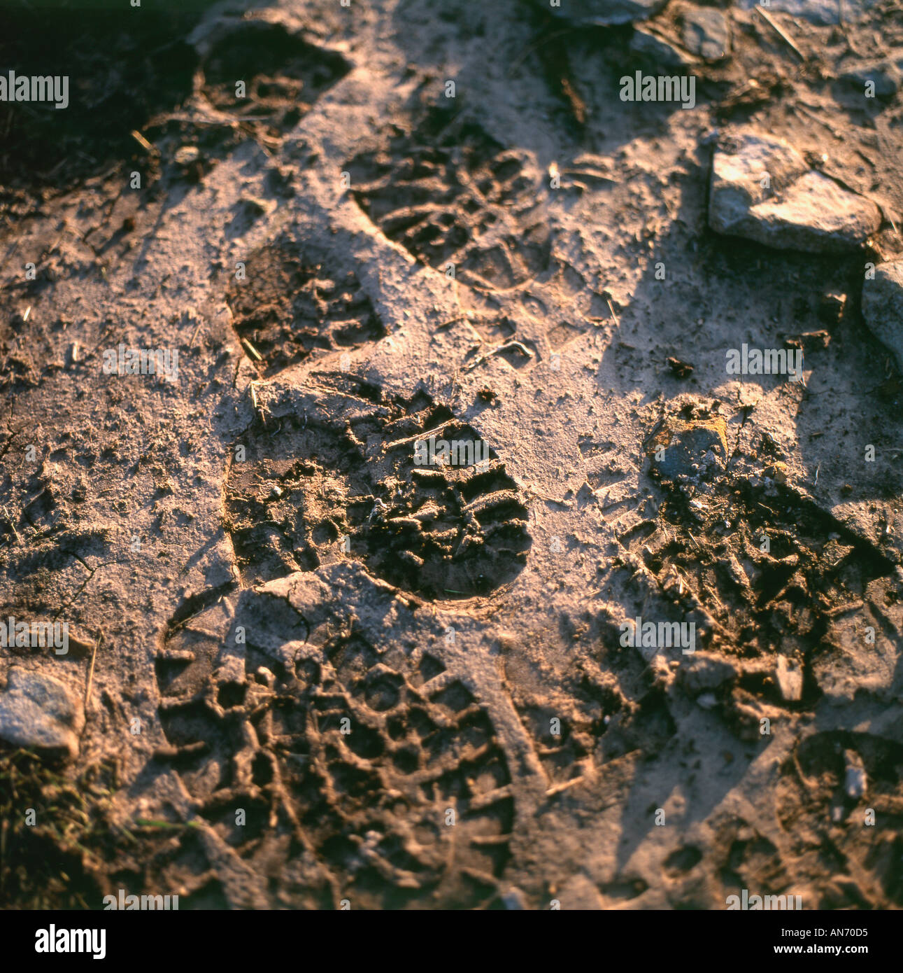 Muddy footprints hi-res stock photography and images - Alamy