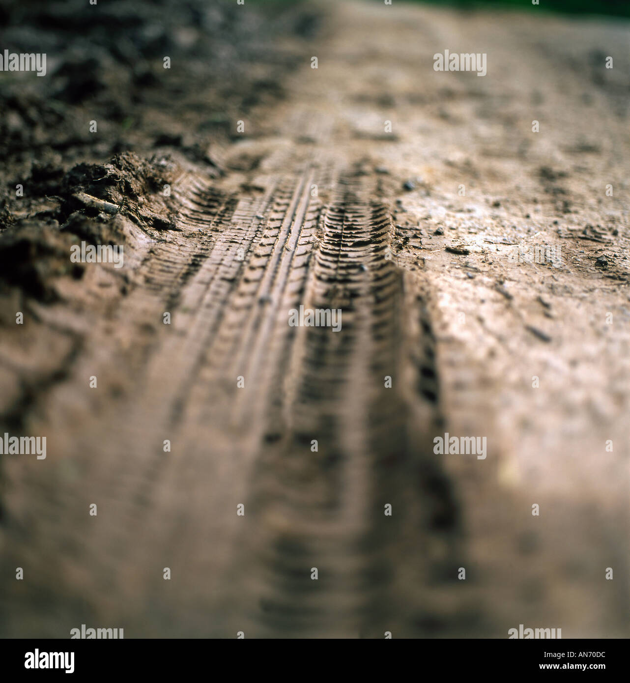 Tire track marks tyre tracks on muddy country road lane path in rural ...