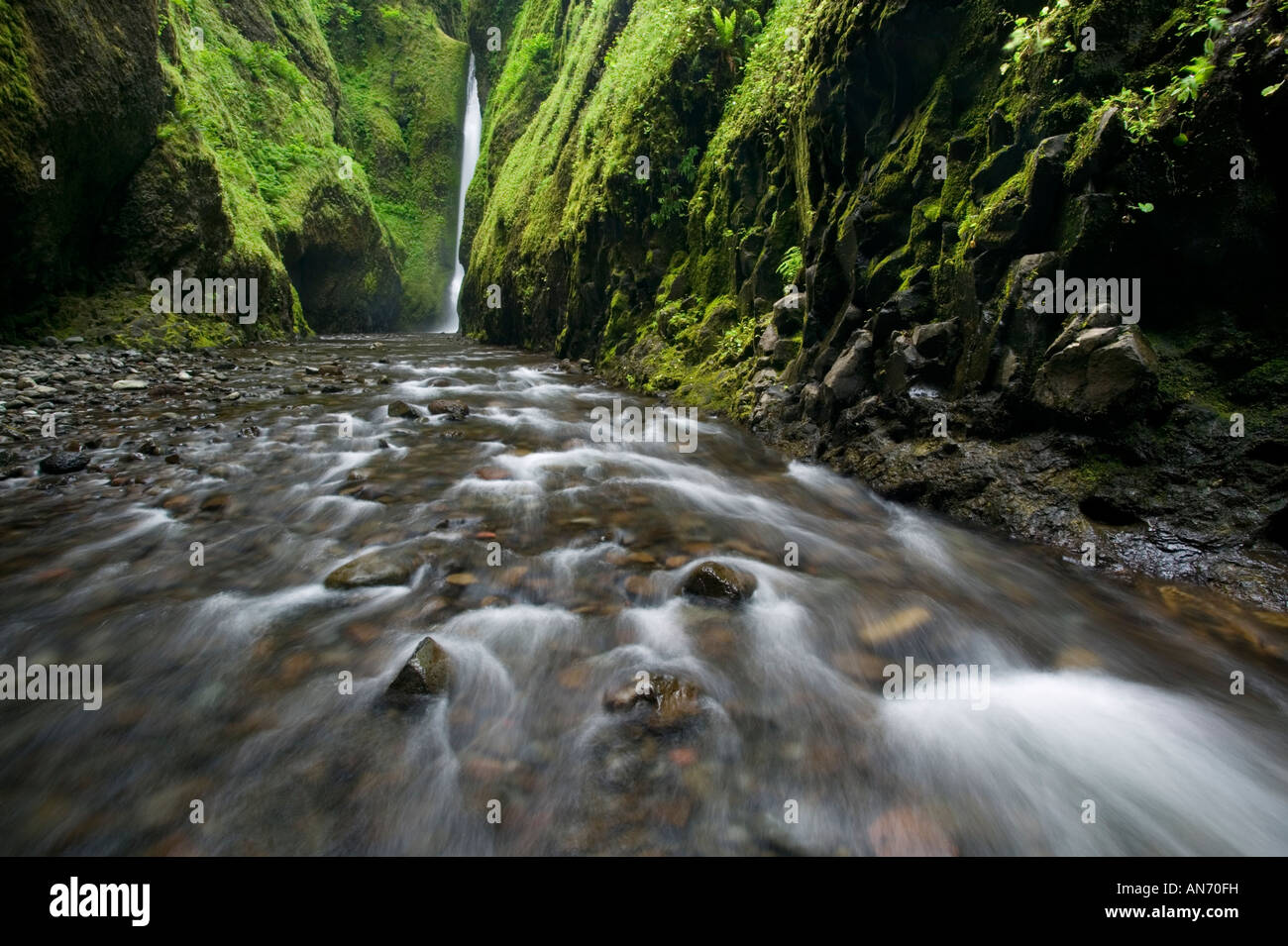 Oneonta falls in Columbia River Gorge Stock Photo - Alamy