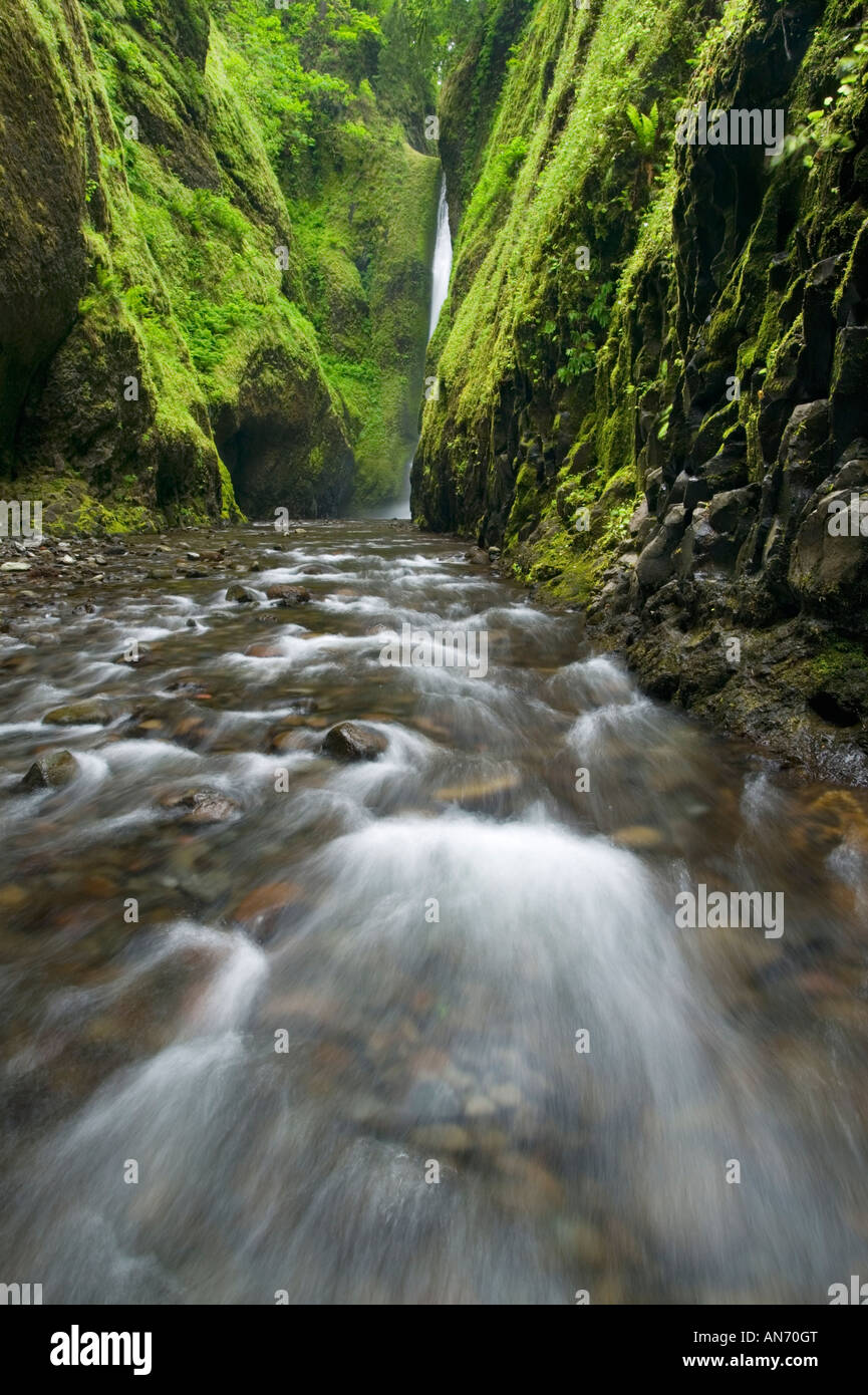 Oneonta falls in Columbia River Gorge Stock Photo - Alamy