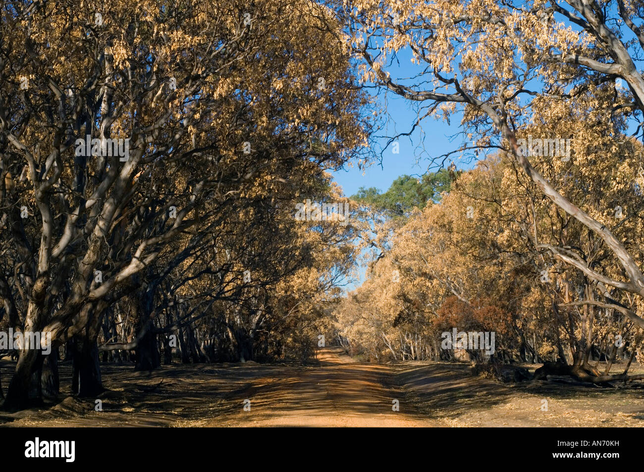 Mafeking road hi-res stock photography and images - Alamy