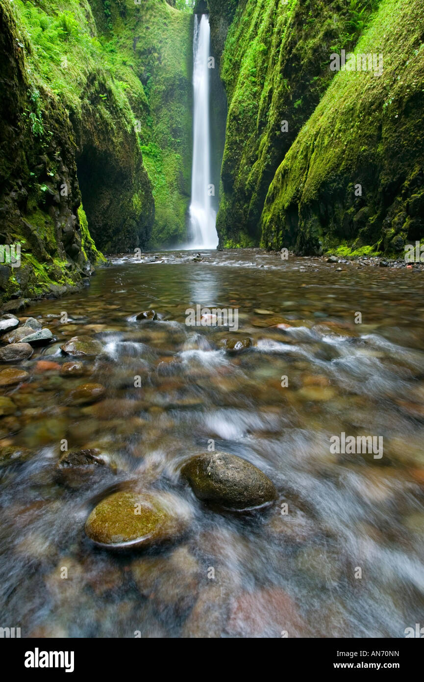 Oneonta falls in Columbia River Gorge Stock Photo - Alamy