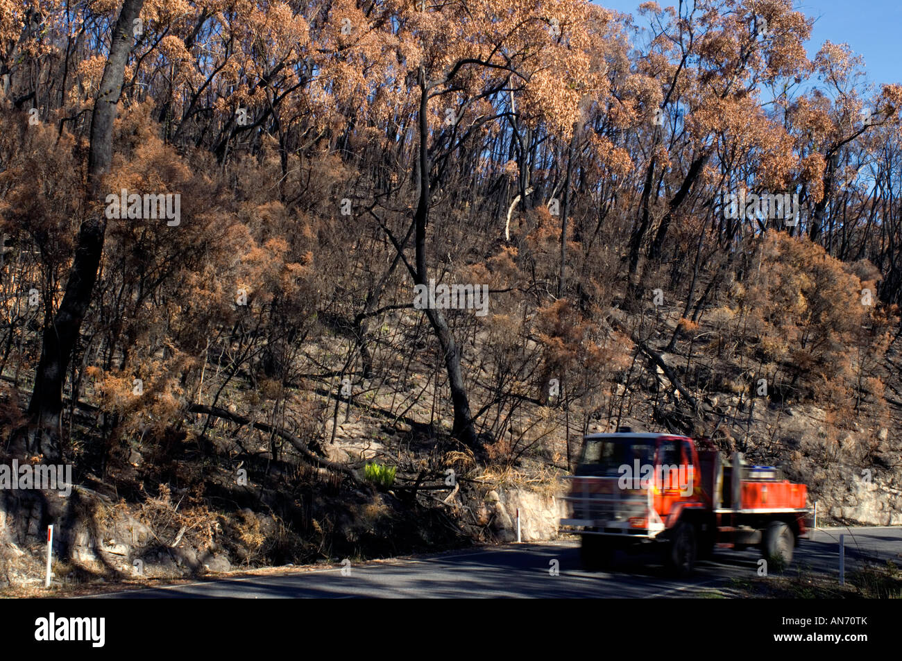 Fire truck patrols the forest after the Grampians bushfire Stock Photo ...