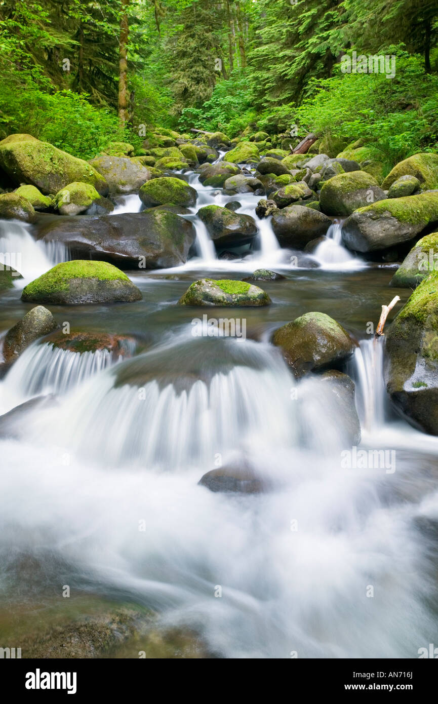 Beautiful spring time waterfalls in hi-res stock photography and images ...