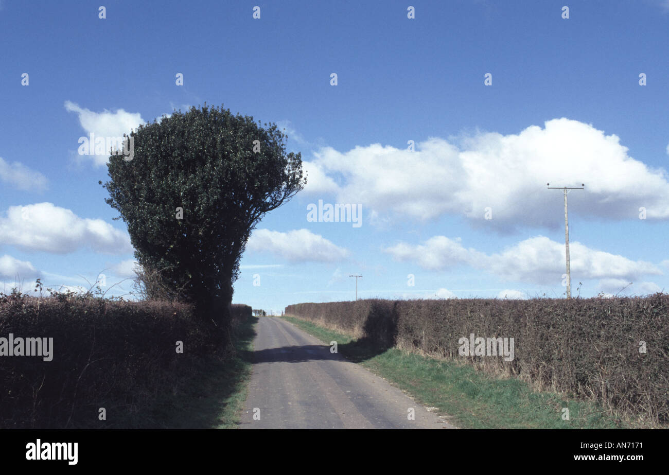 Butser hill road hi-res stock photography and images - Alamy