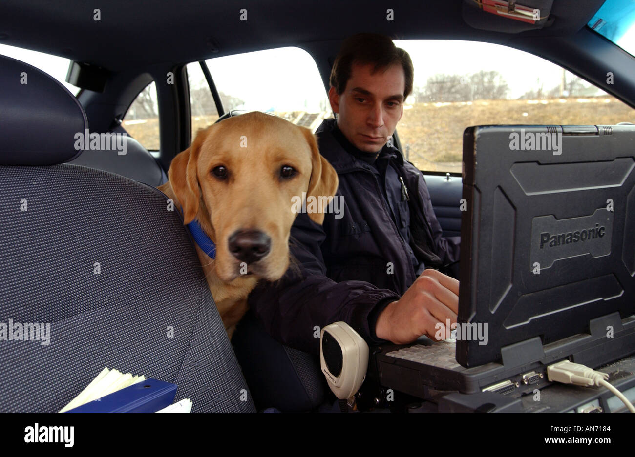 Explosives detection canine hi-res stock photography and images - Alamy