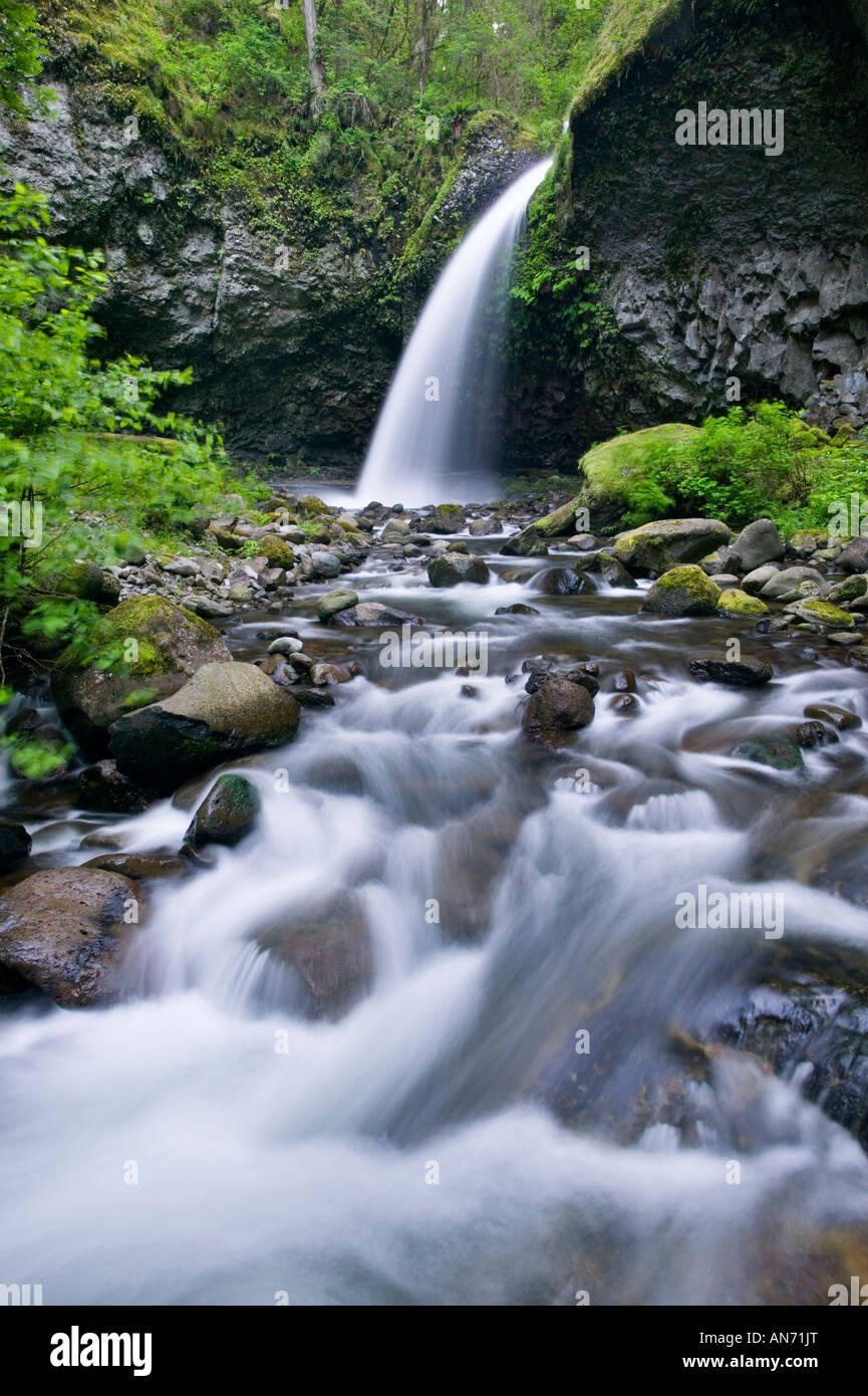 Upper Oneonta falls in Columbia River Gorge Stock Photo - Alamy