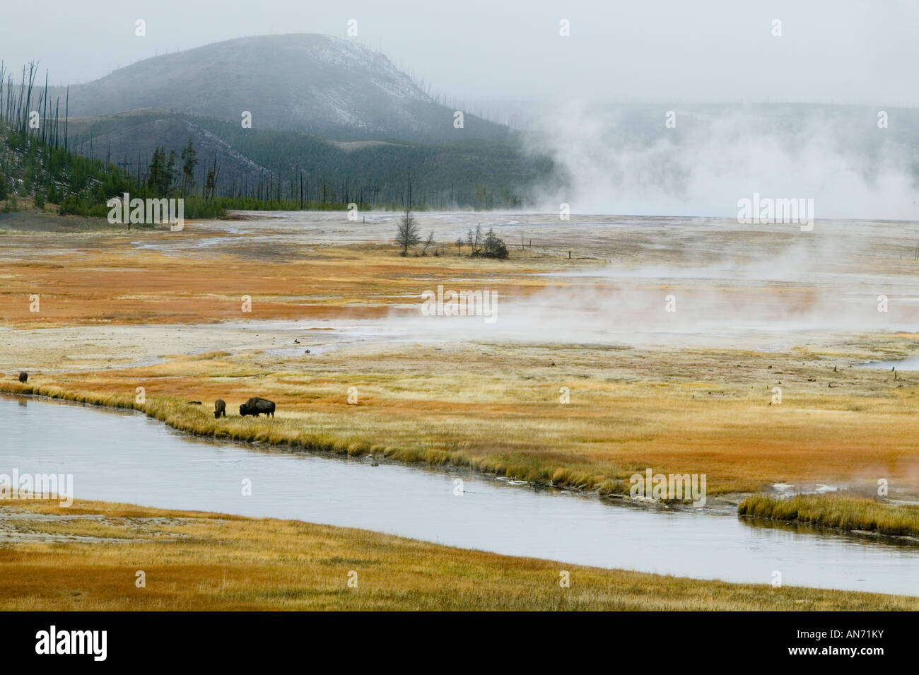 Yellowstone super volcano hi-res stock photography and images - Alamy