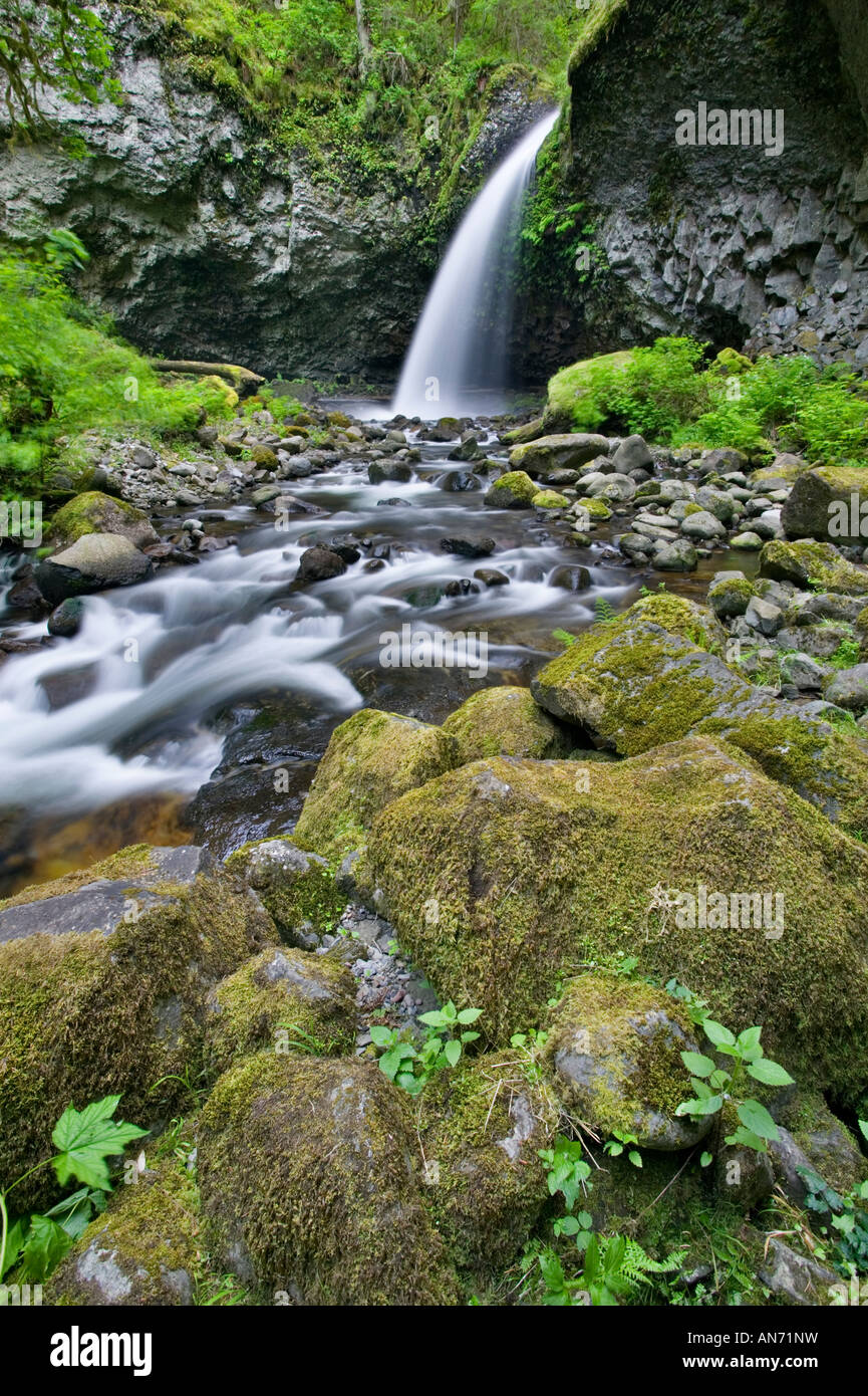 Upper Oneonta falls in Columbia River Gorge Stock Photo - Alamy