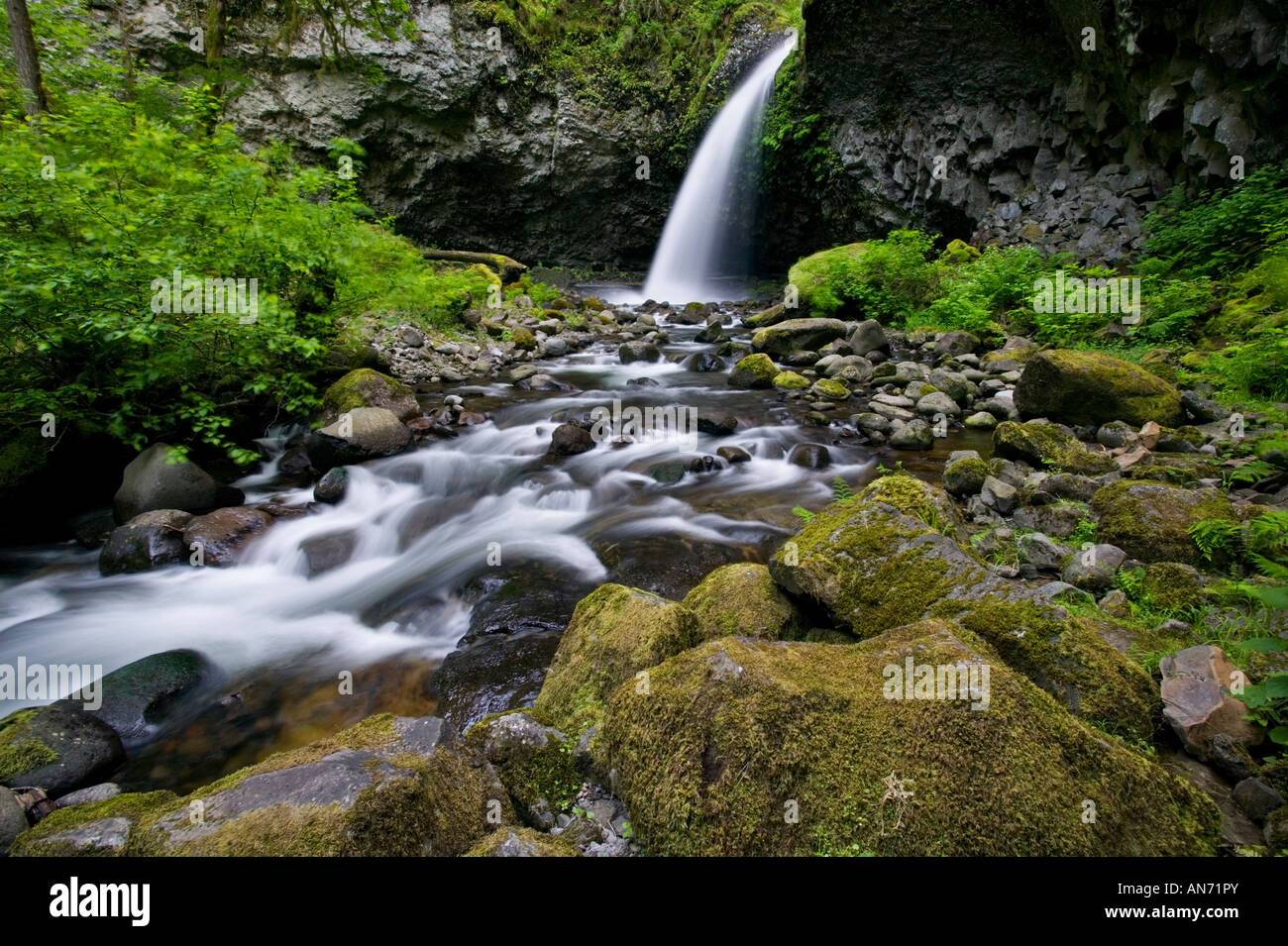 Upper Oneonta falls in Columbia River Gorge Stock Photo - Alamy