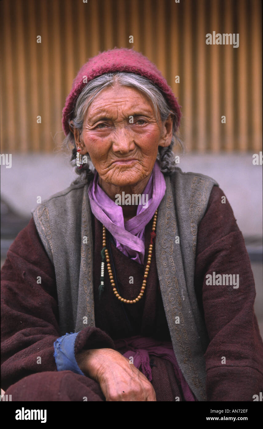 Ladakhi yak hi-res stock photography and images - Alamy