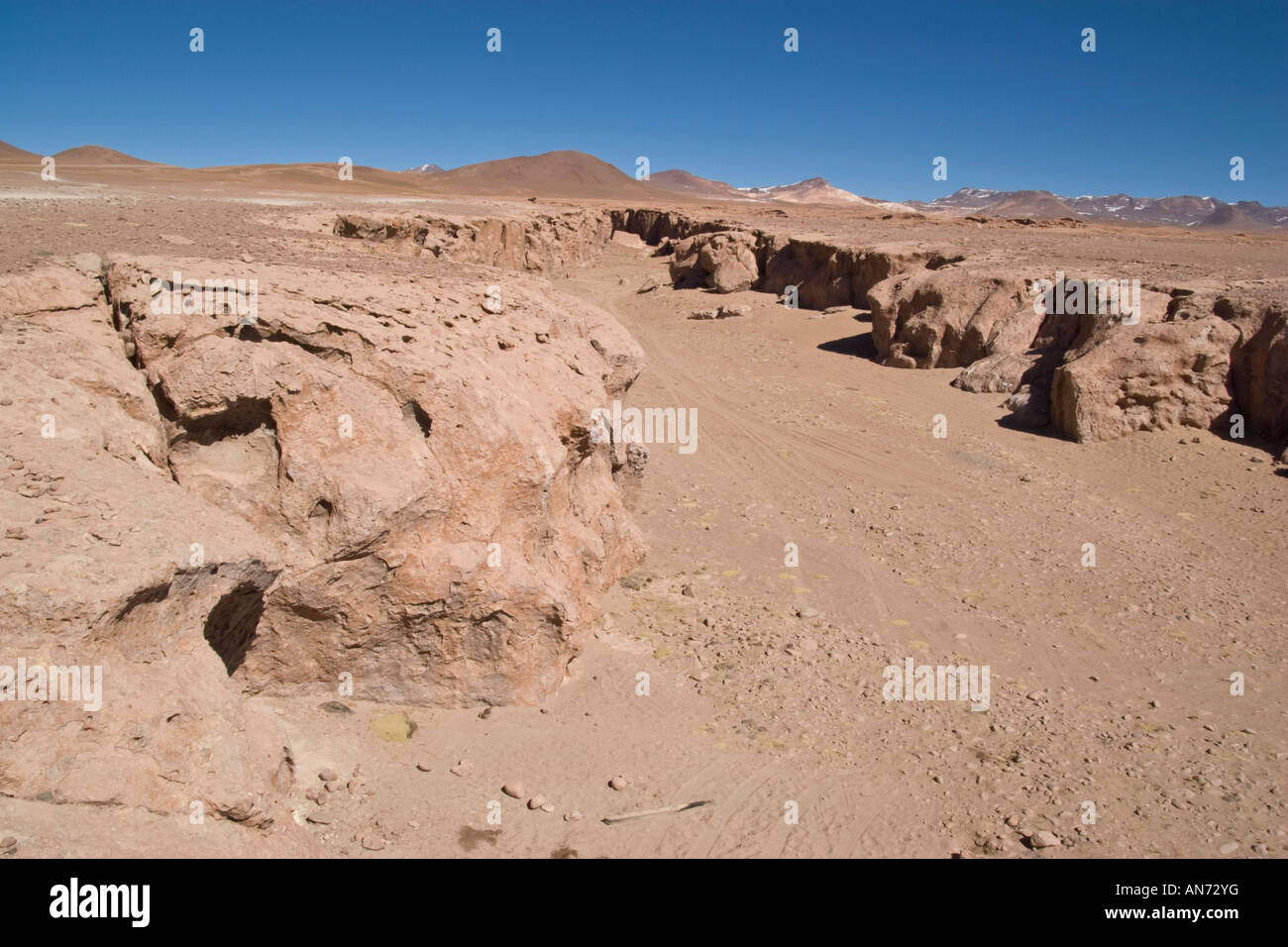 Dry washout above Laguna Colorada, Bolivia Stock Photo - Alamy