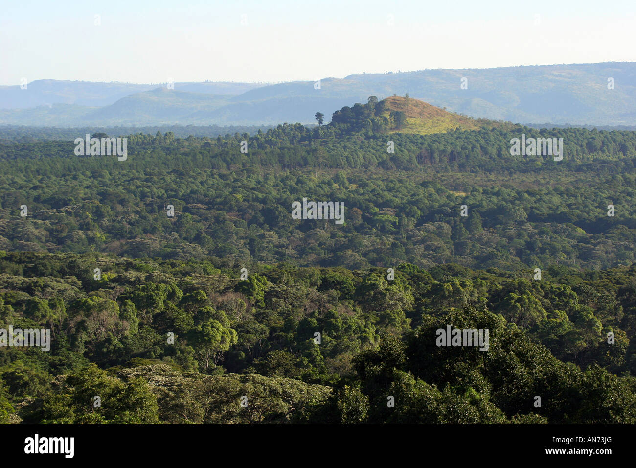 Kakamega hi-res stock photography and images - Alamy