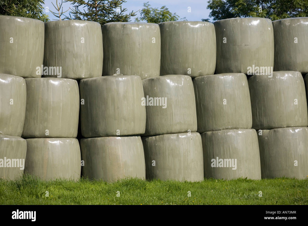 Silage in bale (Puy de Dôme - France). Ensilage en balles (Puy-de-Dôme ...