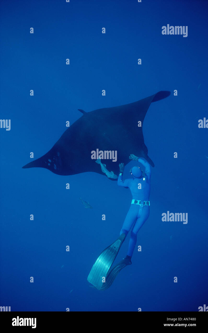 Giant manta ray face hi-res stock photography and images - Alamy