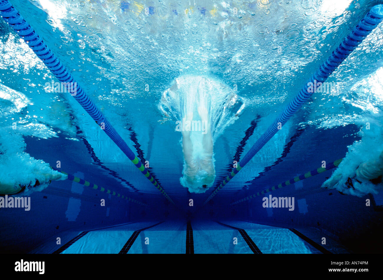 Swimmer Diving Into Pool High Resolution Stock Photography and Images ...