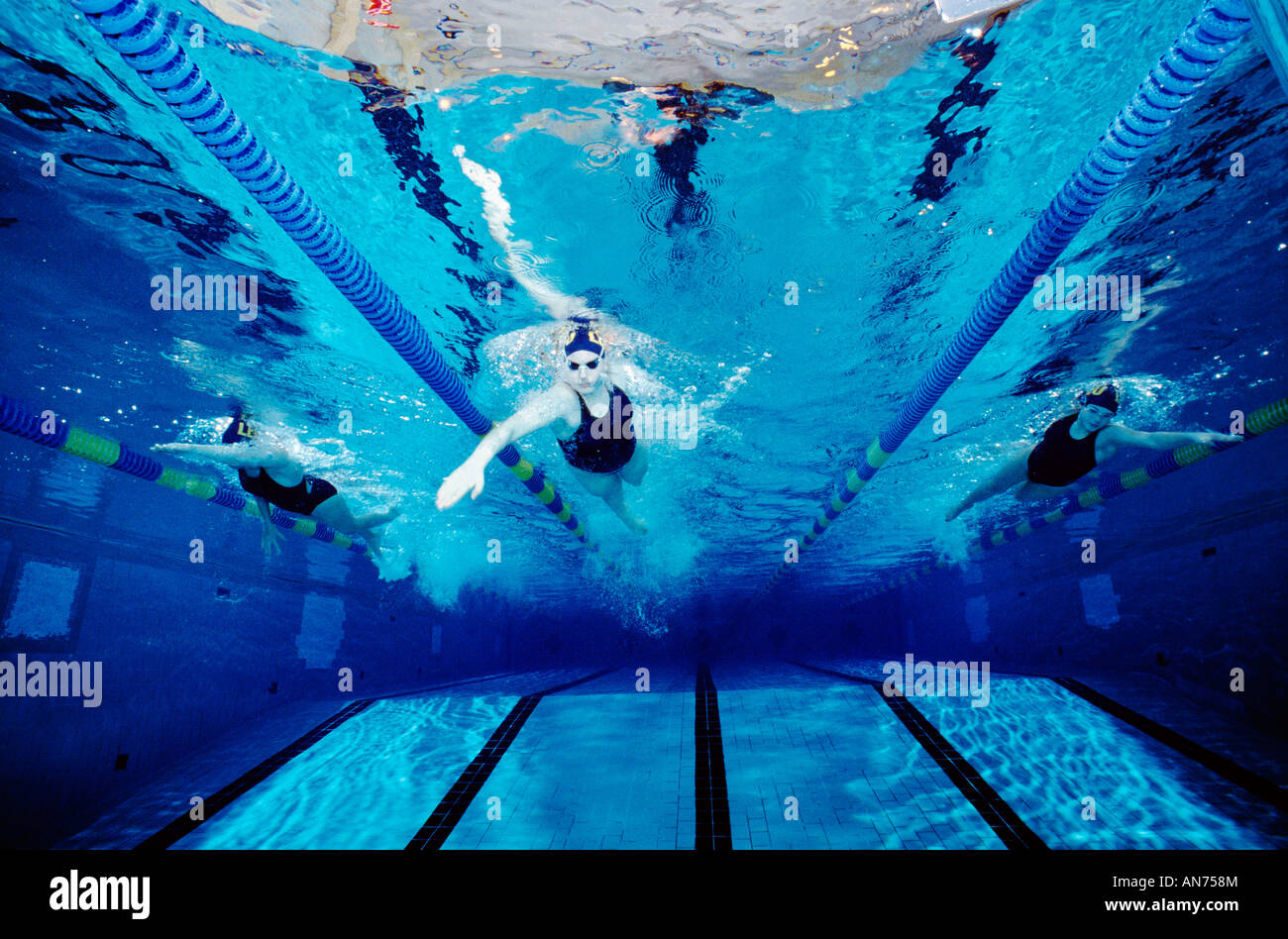 Team usa swimming suit hi-res stock photography and images - Alamy
