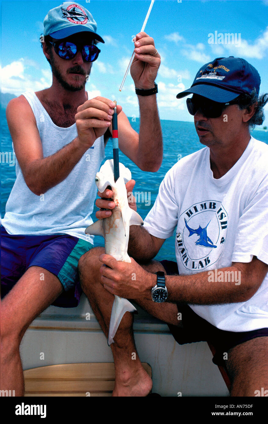 Shark tracking device hi-res stock photography and images - Alamy