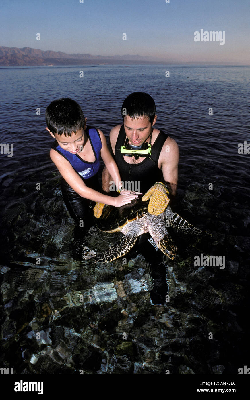 Reptile scientist hi-res stock photography and images - Alamy