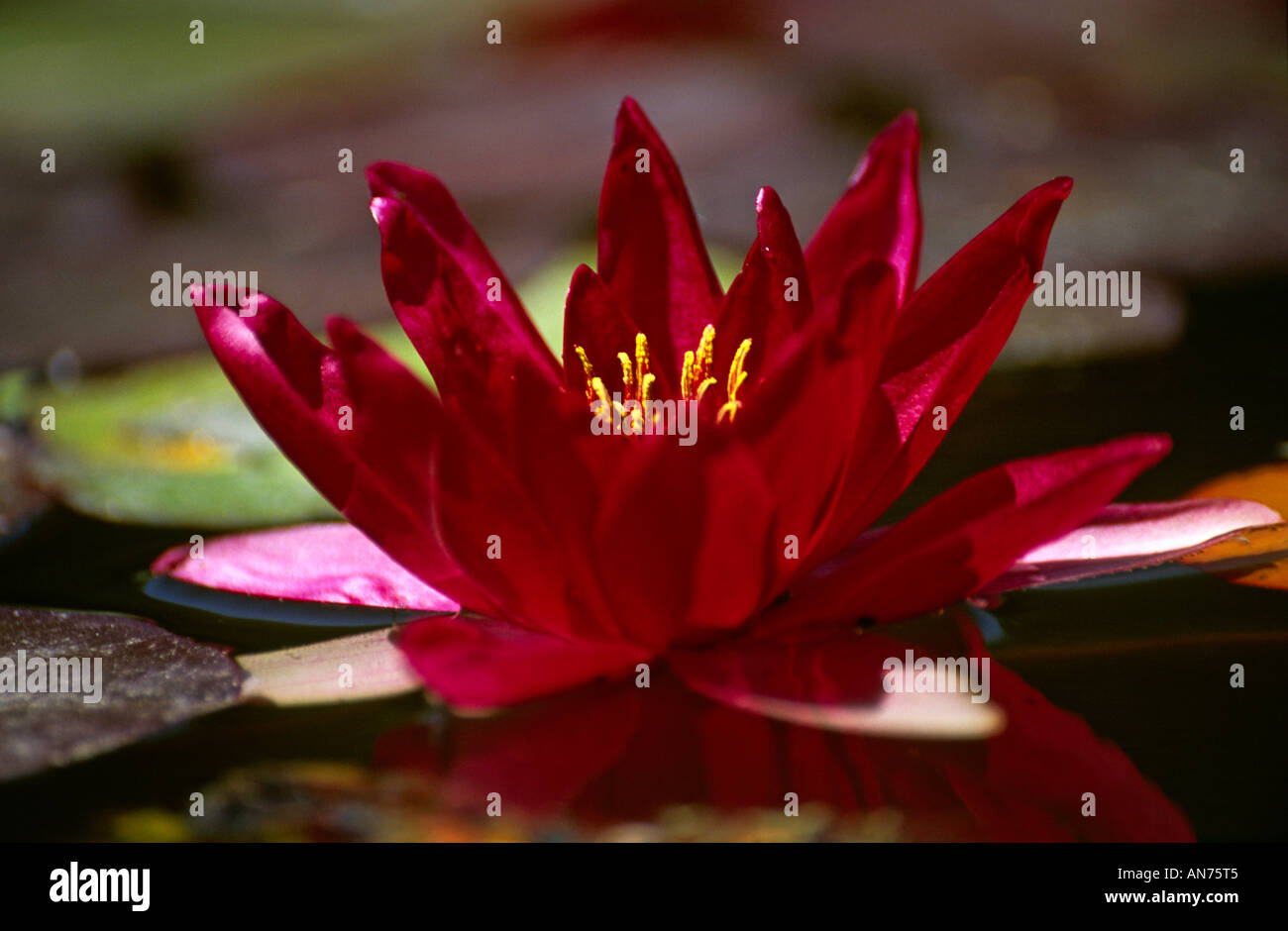 Fuji velvia 100f hi-res stock photography and images - Alamy