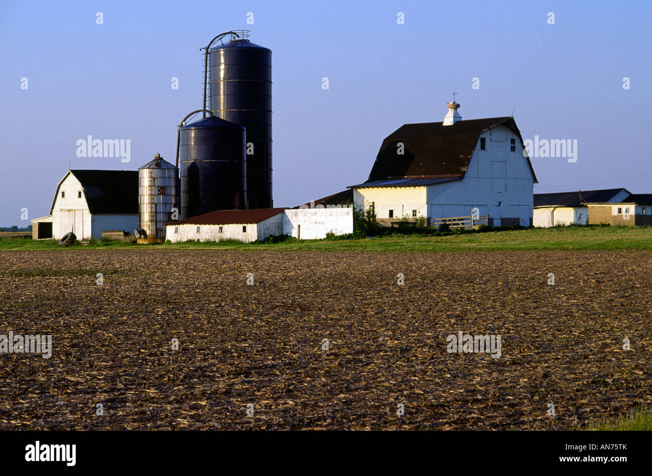 Fallow cornfield during spring planting season with silos and farm ...