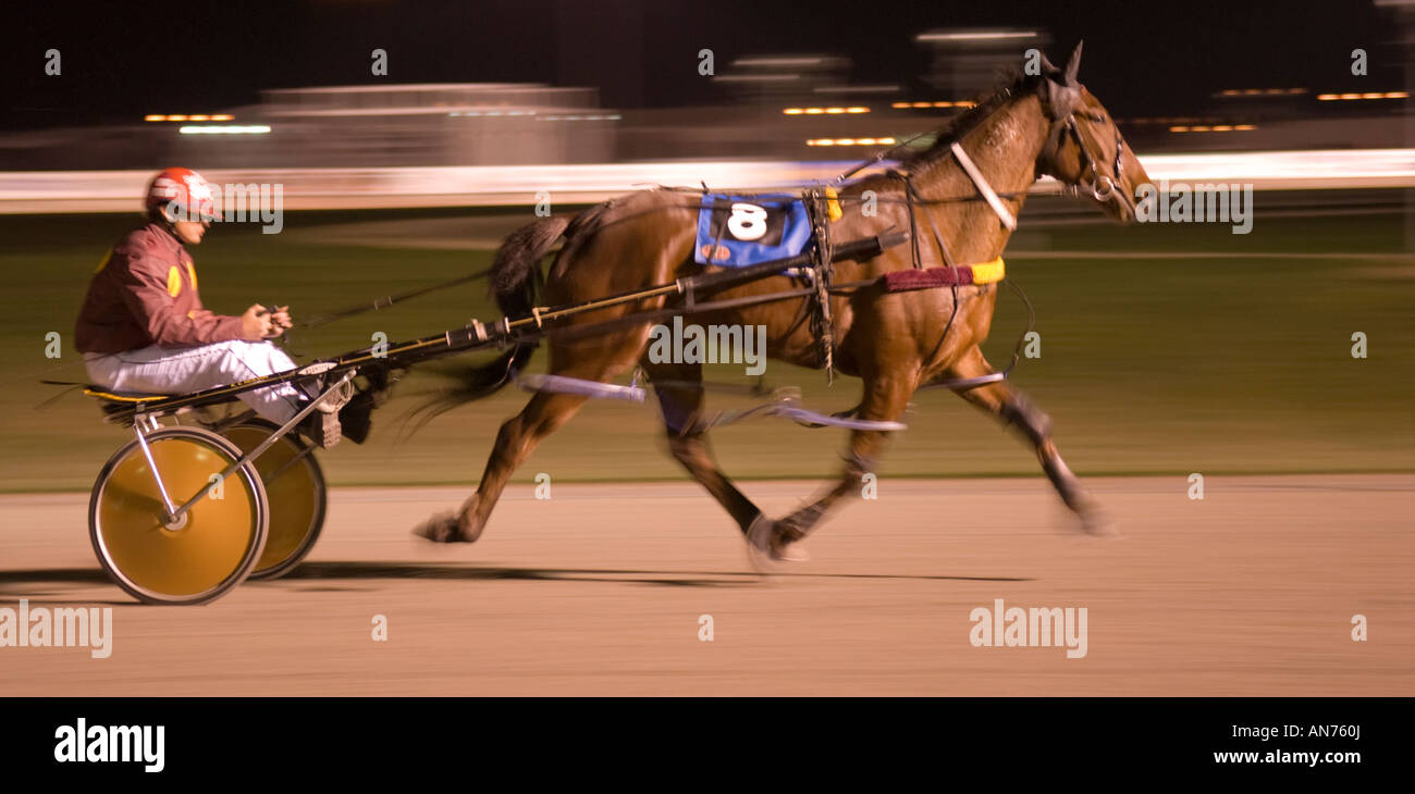Floodlit harness racing at Addington Raceway, Christchurch Stock Photo ...