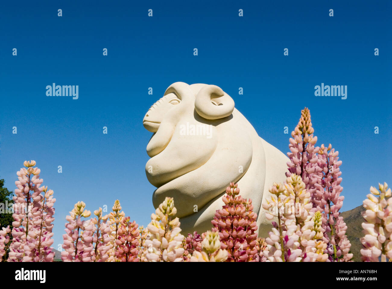 Carved stone ram marking town hi-res stock photography and images - Alamy