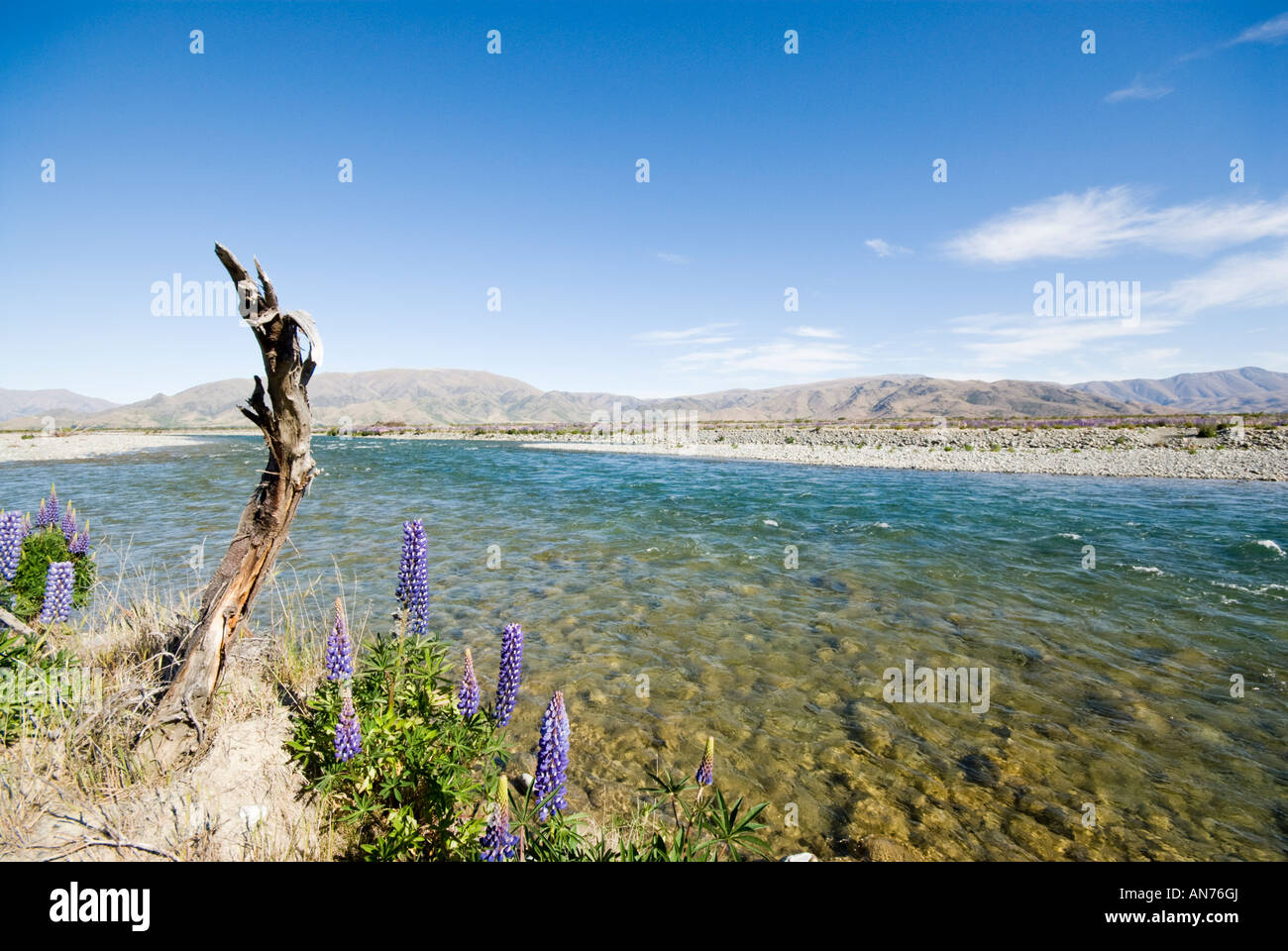 The Ahuriri River near Omarama Stock Photo - Alamy