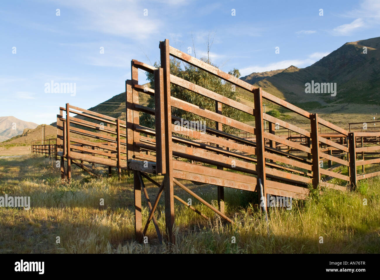 Cattle ramp hi-res stock photography and images - Alamy