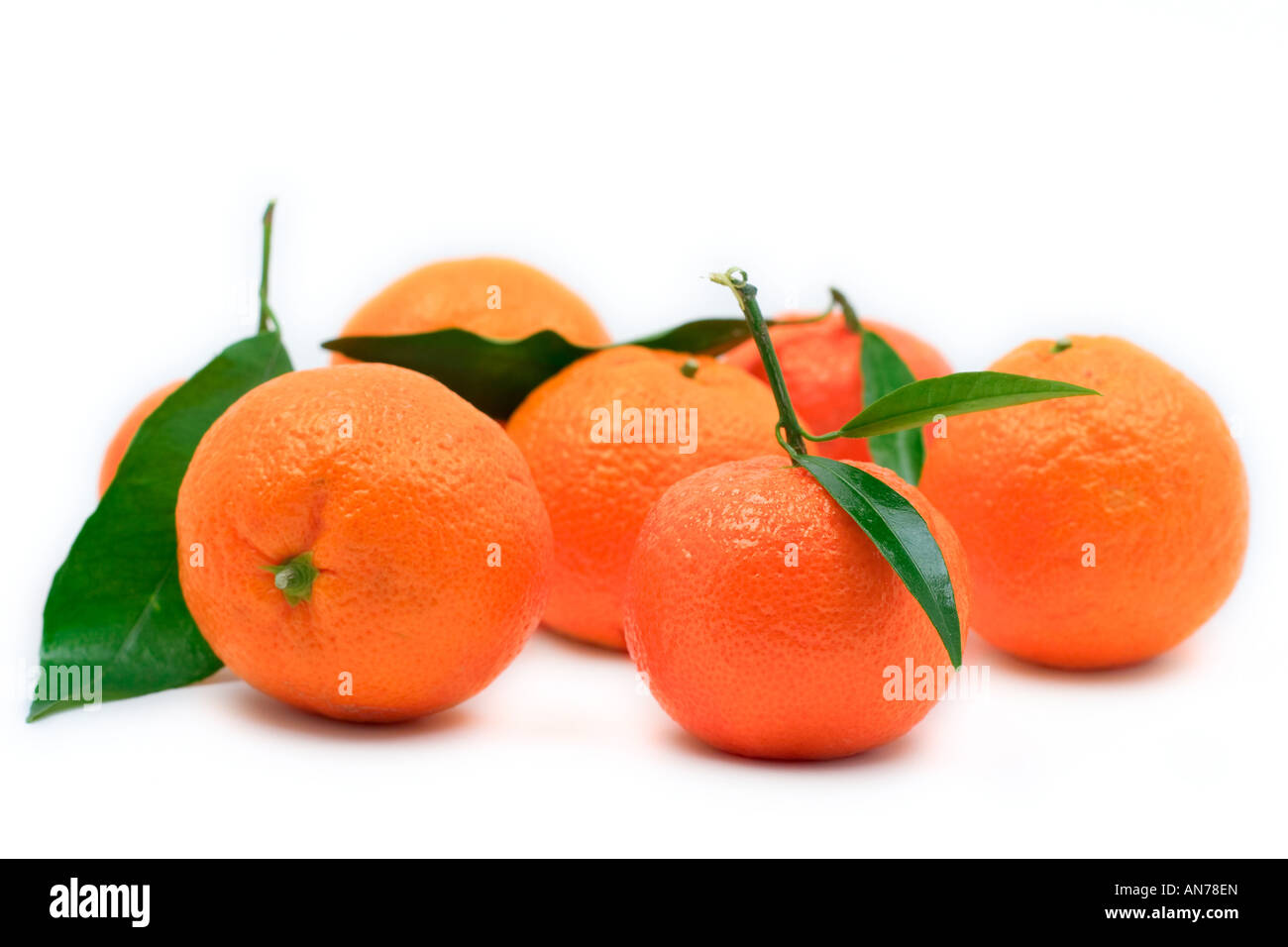 Many fresh tangerines on Cut Out Stock Images & Pictures - Alamy