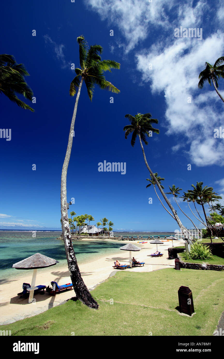PALM TREES TROPICAL ISLAND BEACH FIJI VERTICAL BDB11368 Stock Photo - Alamy