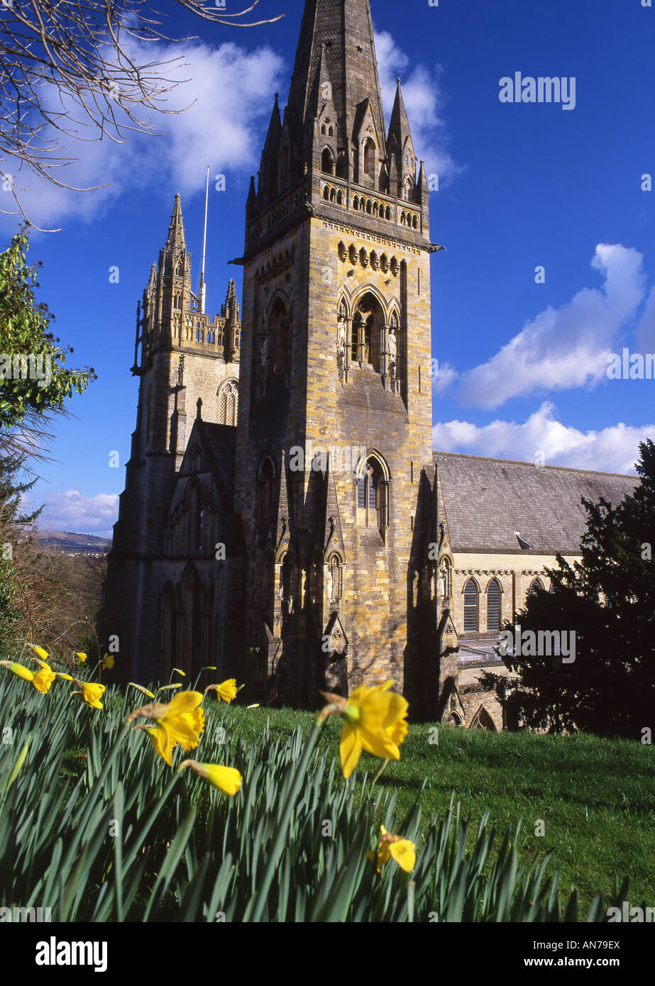 Llandaff Cathedral Springtime view with daffodils Cardiff Suburbs South ...