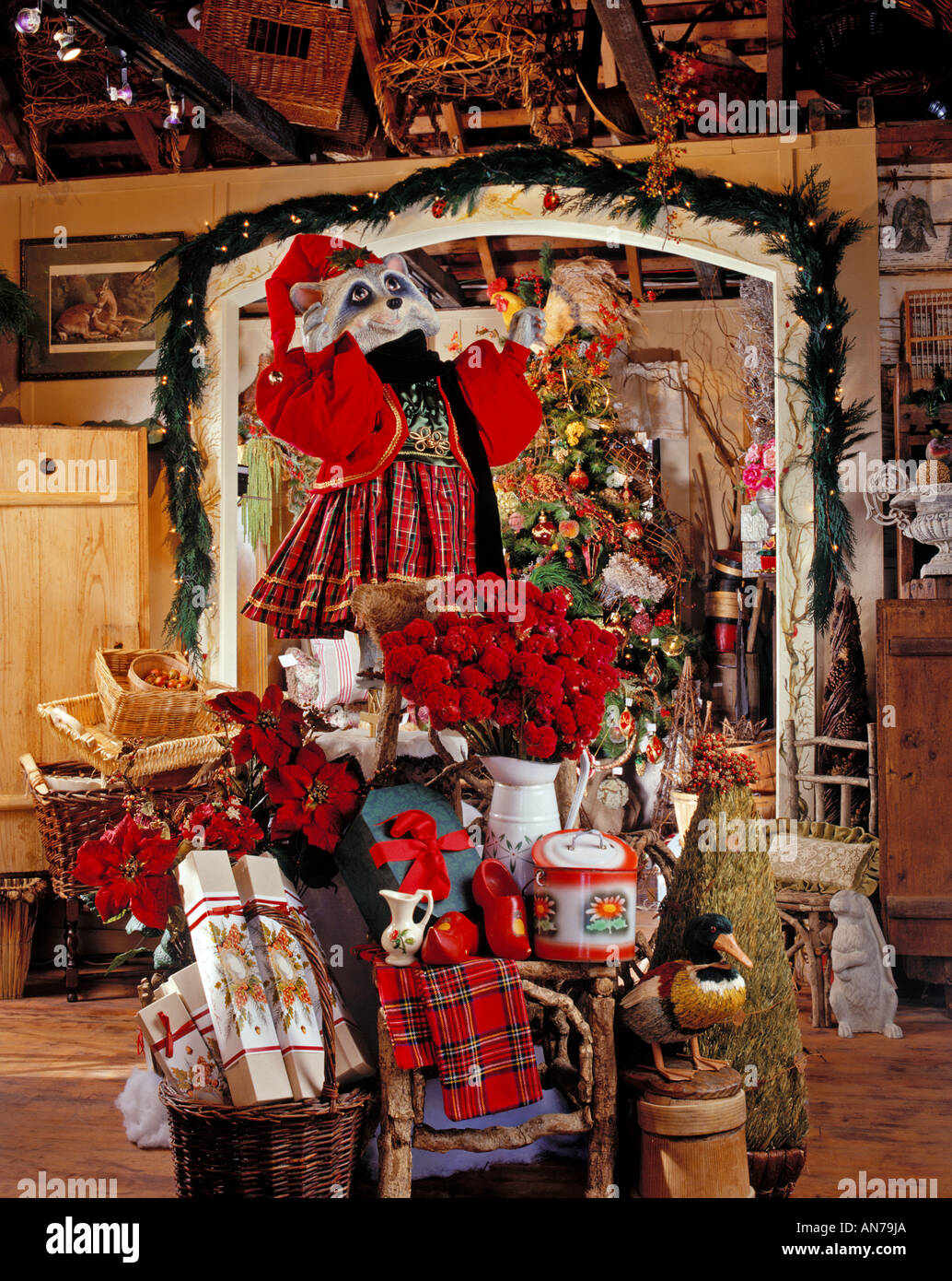 A RACOON dressed as SANTA is the center piece for the CHRISTMAS theme ...