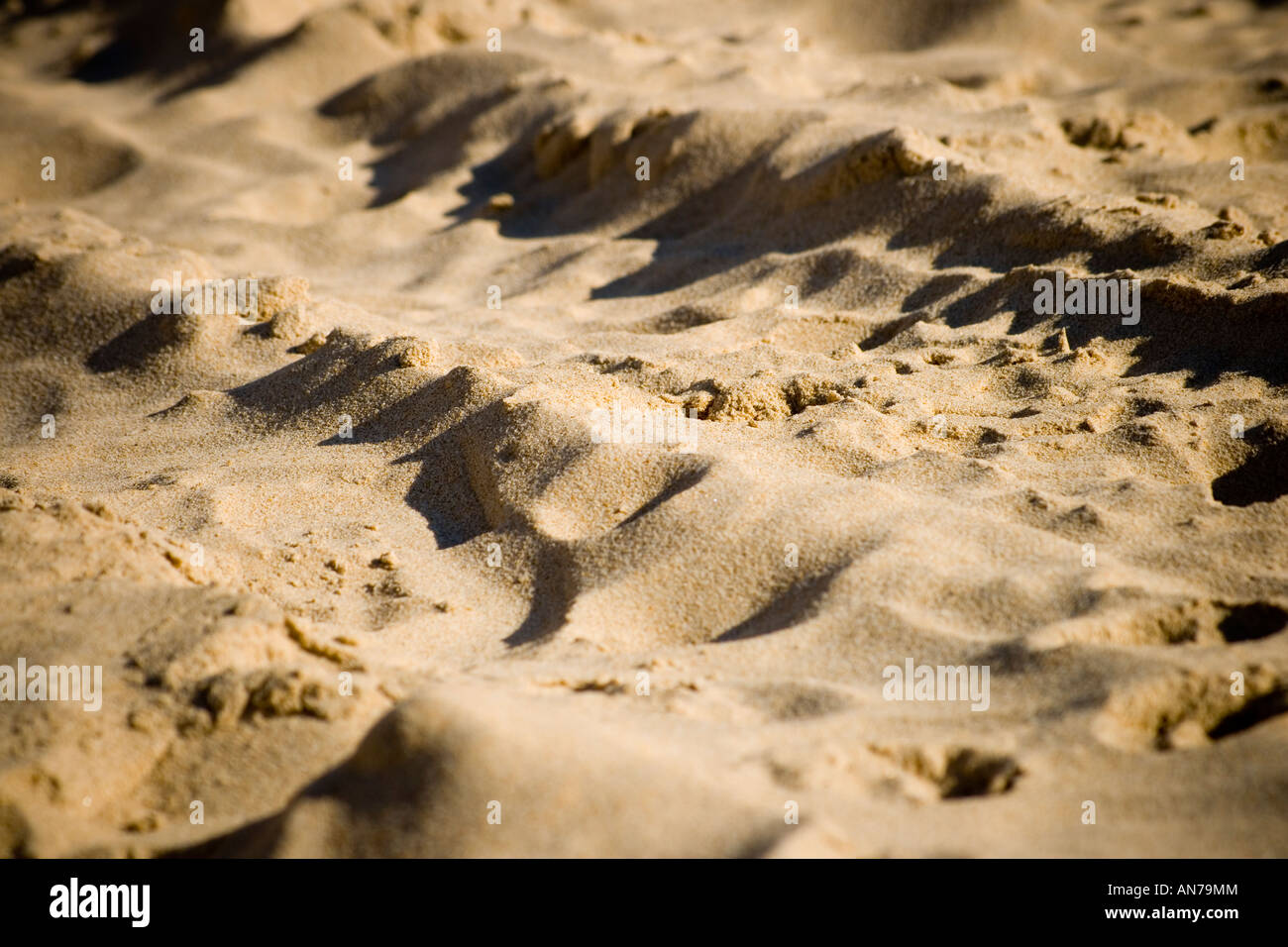 Sand close up background Stock Photo - Alamy