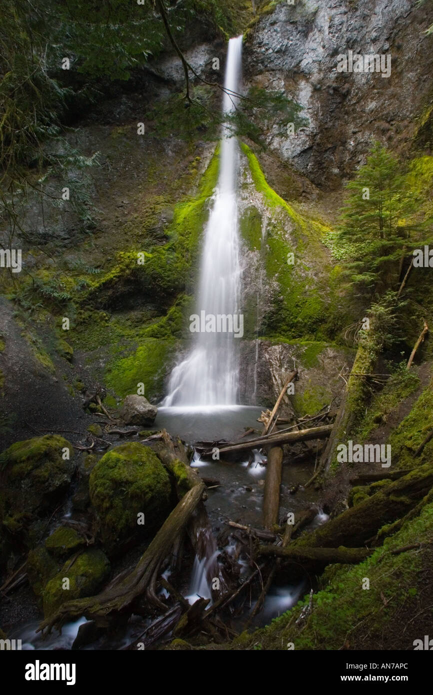 Forestspring runoff hi-res stock photography and images - Alamy