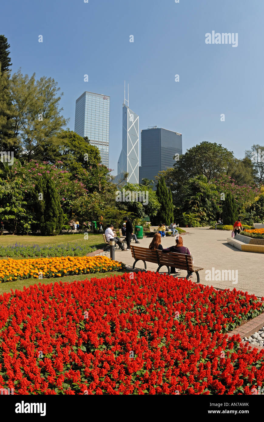 Hong Kong Botanical Gardens with high rise buildings Stock Photo - Alamy