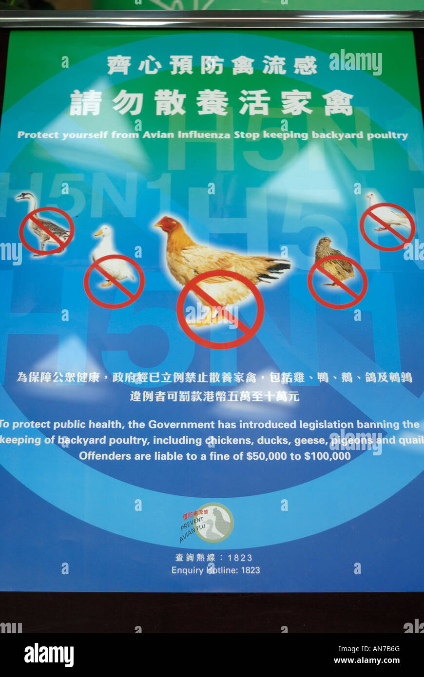 Avian flu warning sign in Hong Kong Stock Photo - Alamy