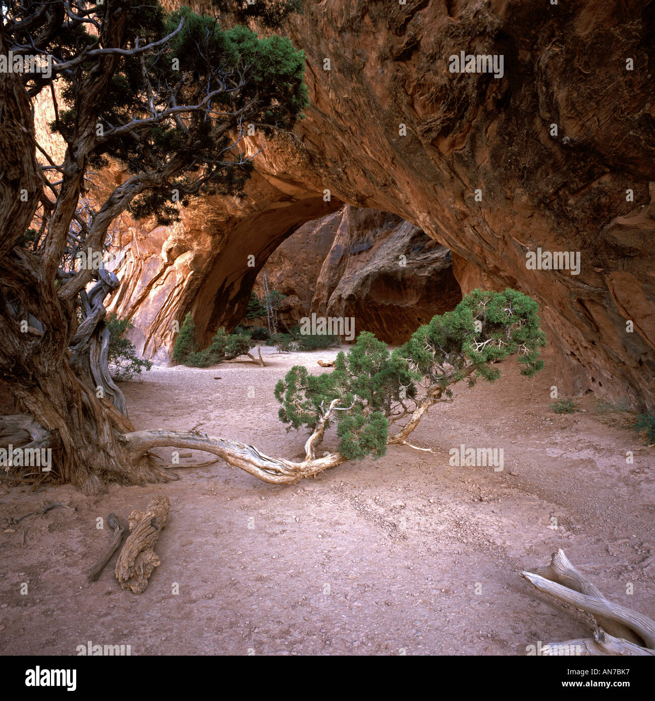 NAVAJO ARCH in The DEVILS GARDEN is small but lovely ARCHES NATIONAL ...