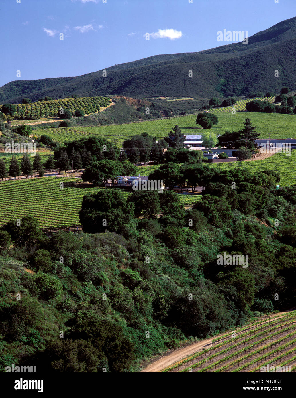 SMITH HOOK HAHN ESTATES VINEYARD WINERY are located in the Santa Lucia ...
