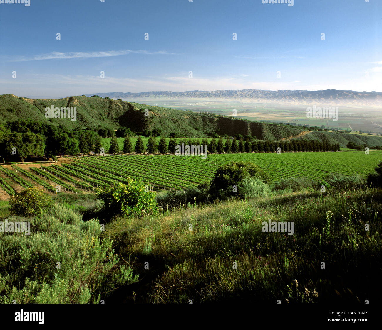 Spectacular view across the salinas valley to the gabilan mountains hi ...