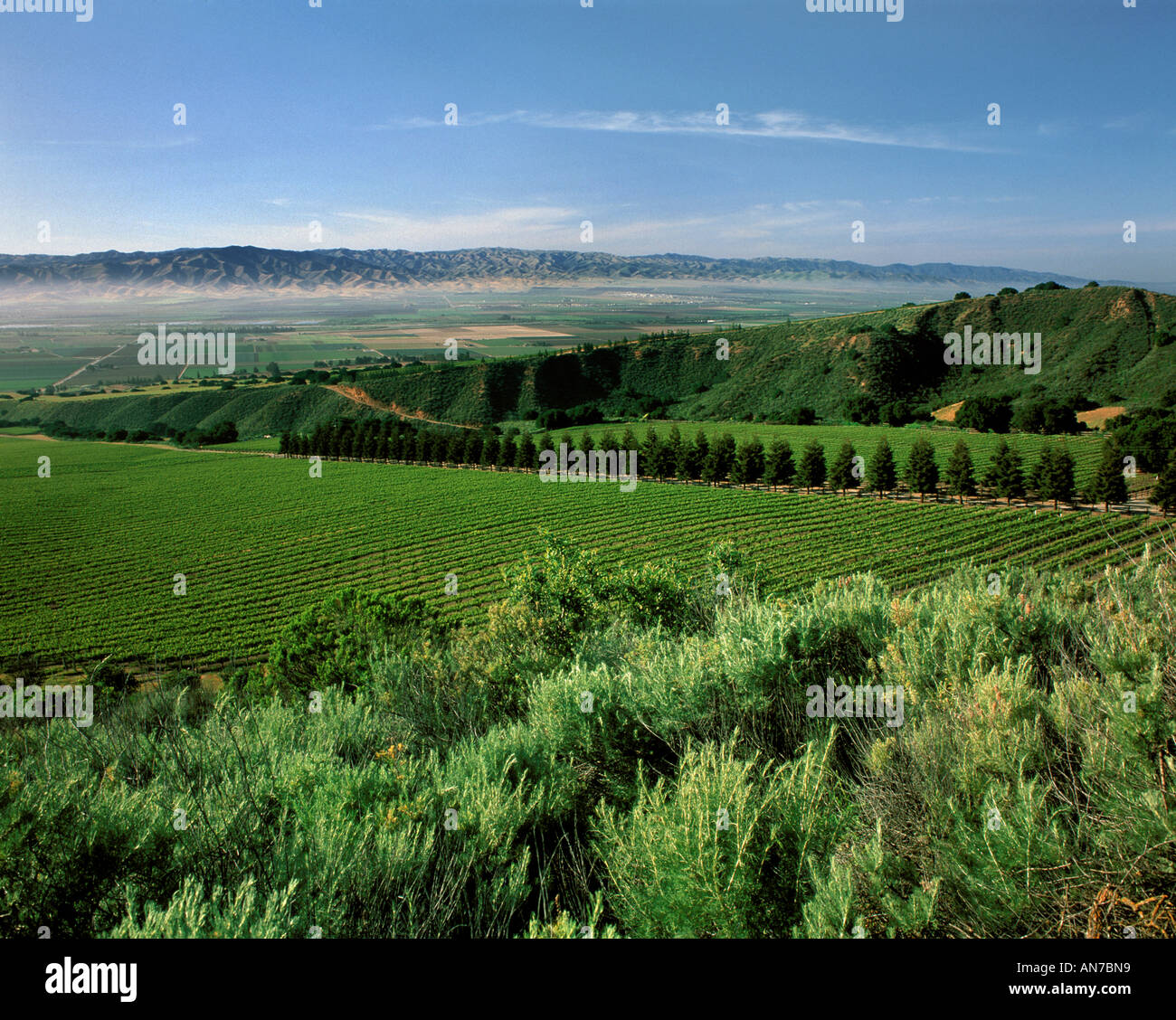 Monterey county winery hi-res stock photography and images - Alamy