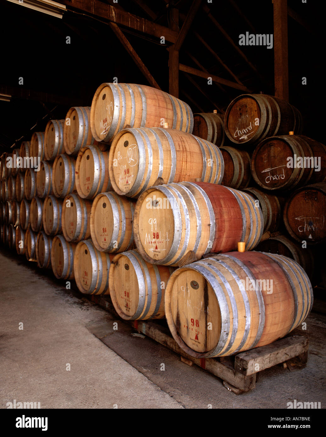 OAK BARREL CASKS for AGING WINE MONTEREY COUNTY CALIFORNIA Stock Photo ...