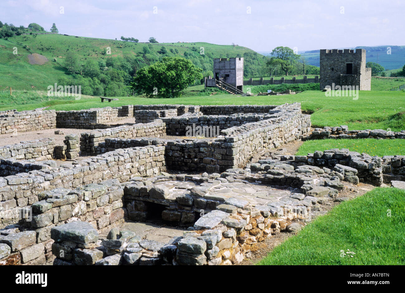 Vindolanda Northumberland 2 Stock Photo - Alamy